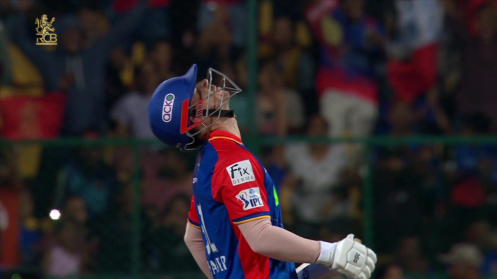Warner Falls, RCB Strike Early
