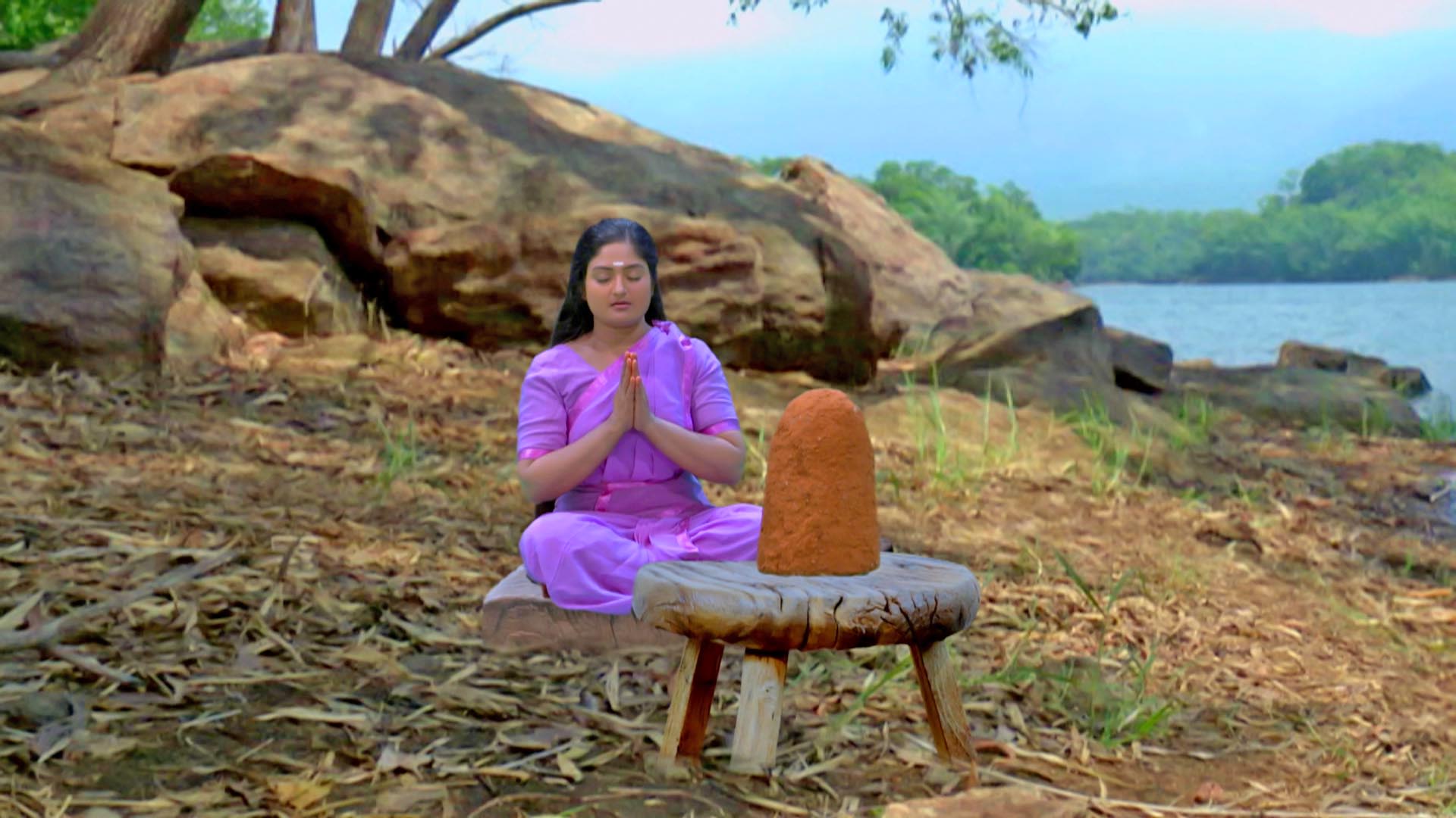 Watch Sabarimala Swami Ayyappan S1 Episode 222 on JioHotstar