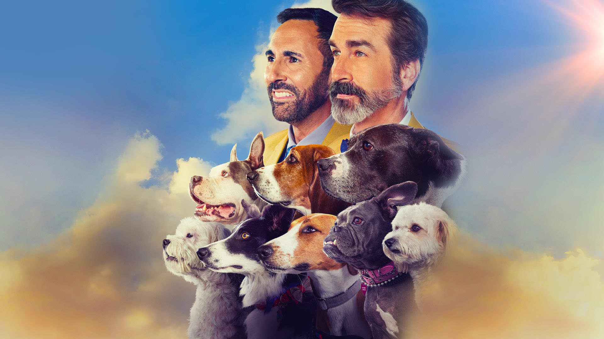 The American Rescue Dog Show on Disney+ United Arab Emirates | English ...