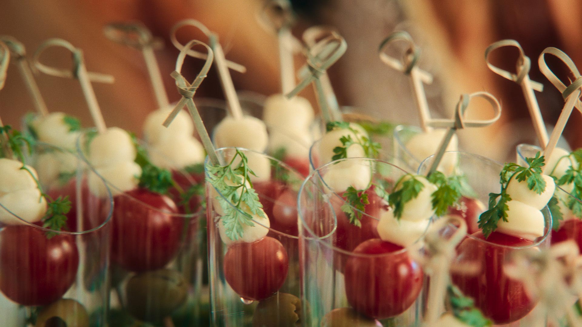 รับชม Bears ซีซัน 4 ตอน 7 – Bears บน Disney+ Hotstar