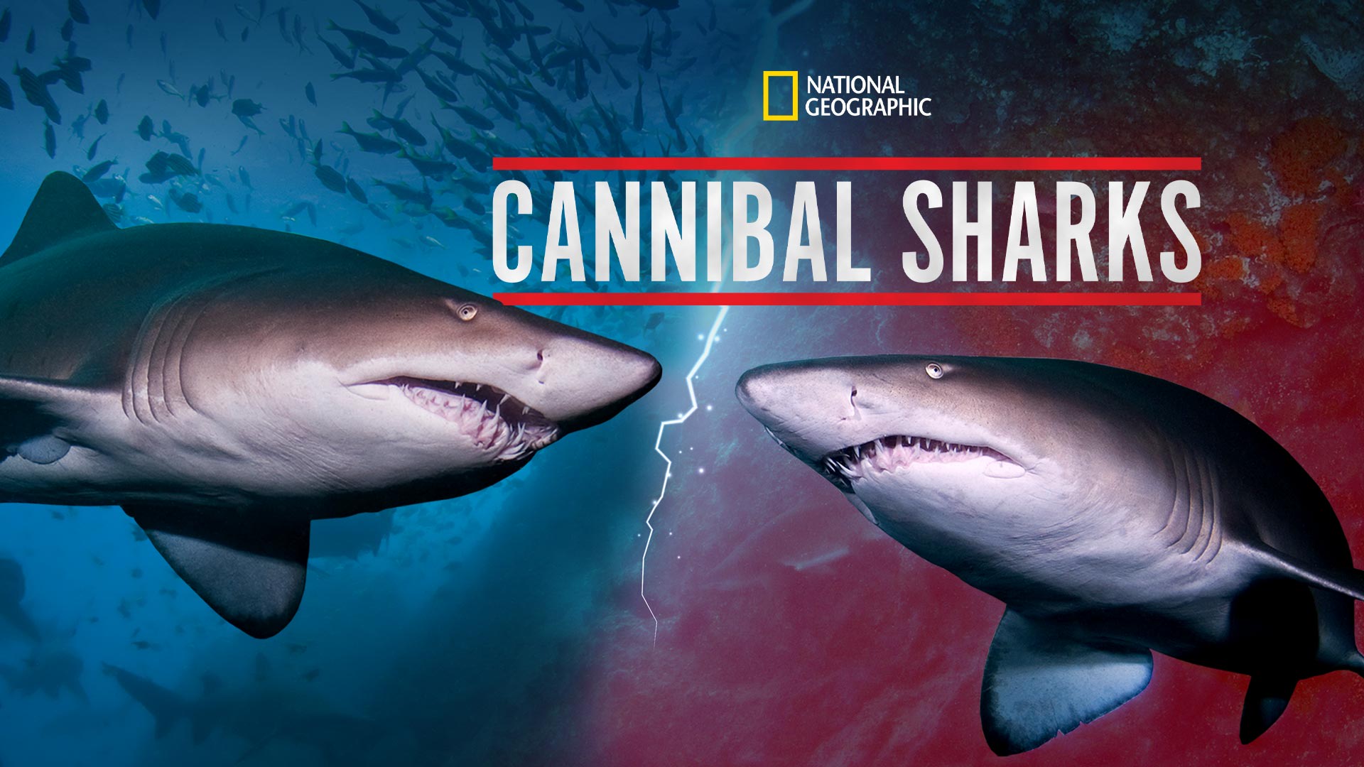 Watch a clip from Cannibal Sharks - Trailer on Disney+