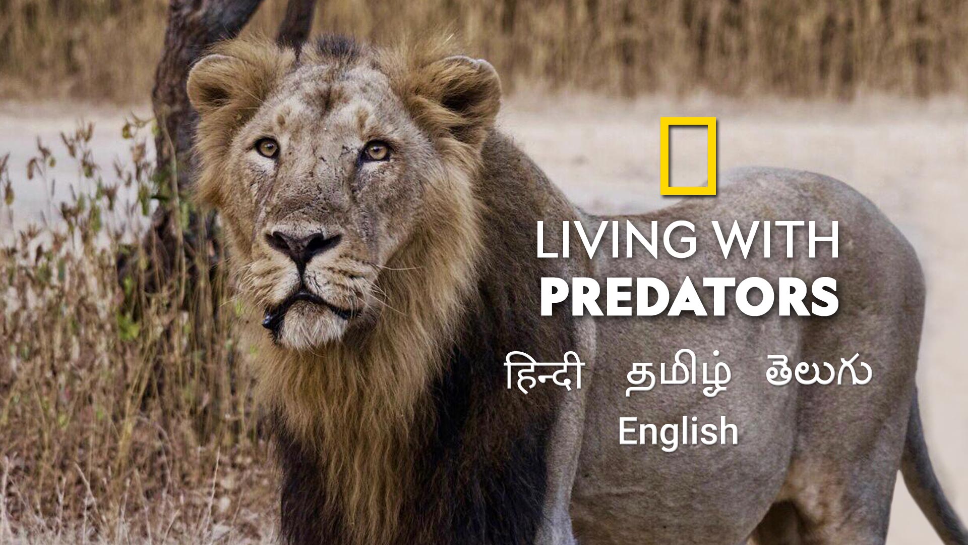 Stream living-with-predators TV Show Online | Watcho