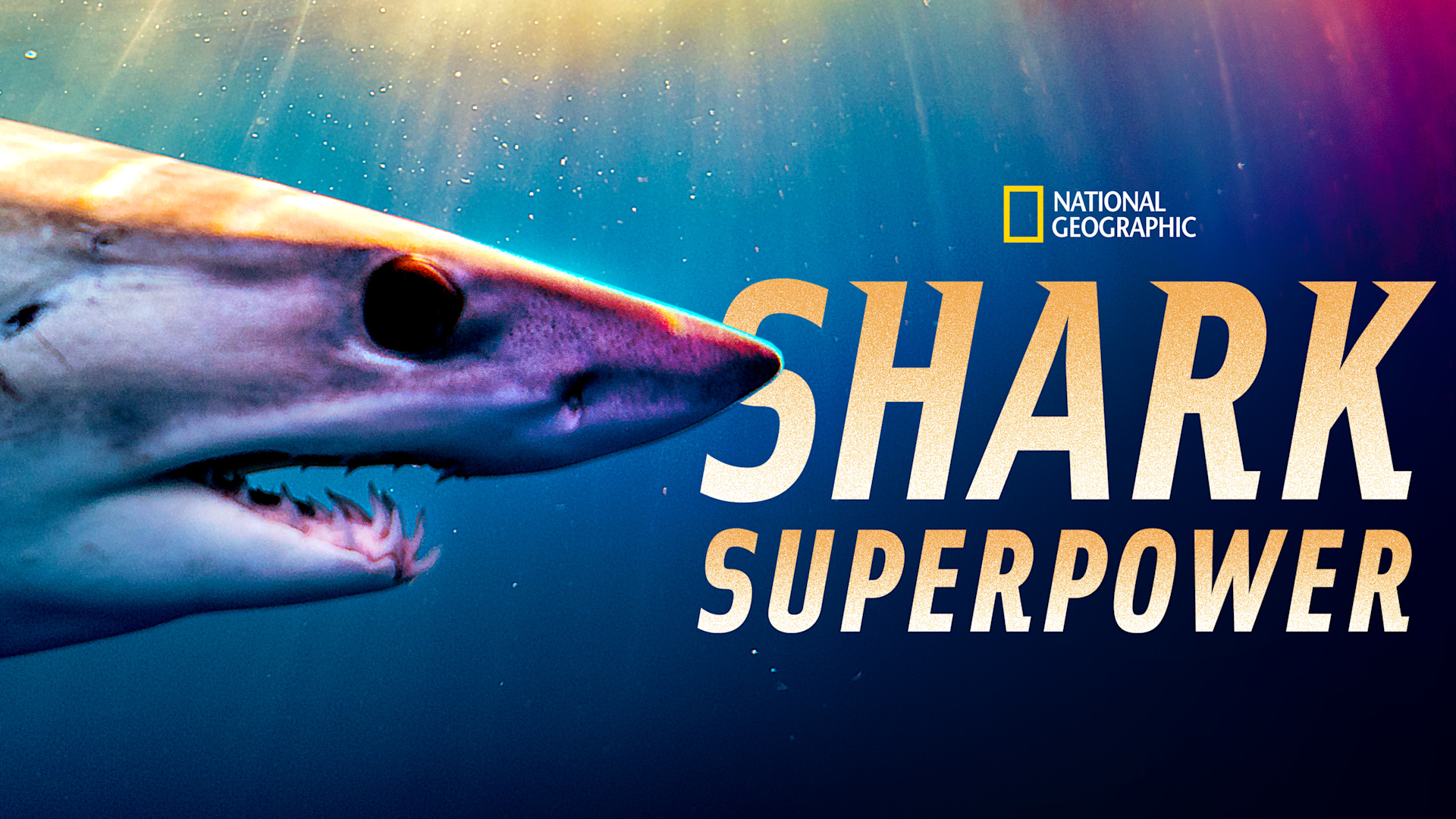 Shark Superpower - Disney+