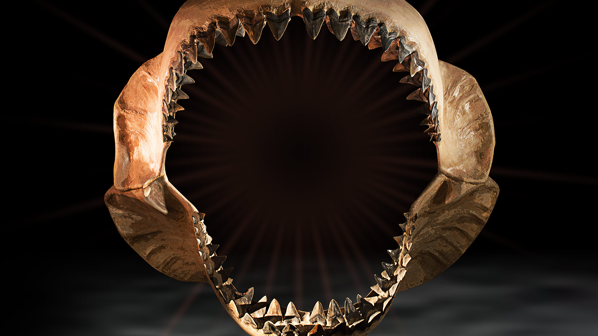 Top 10 Biggest Beasts Ever - Disney+