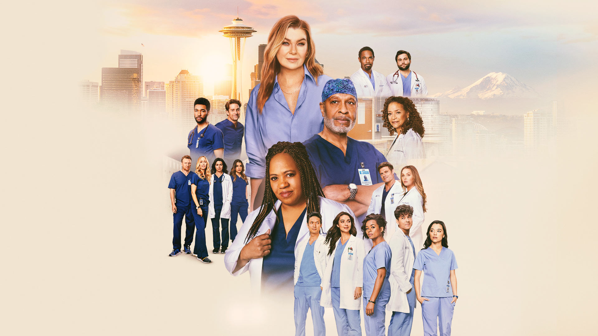 Grey's Anatomy, Drama TV Series - Nonton Semua Episode Terbaru Online di Disney+