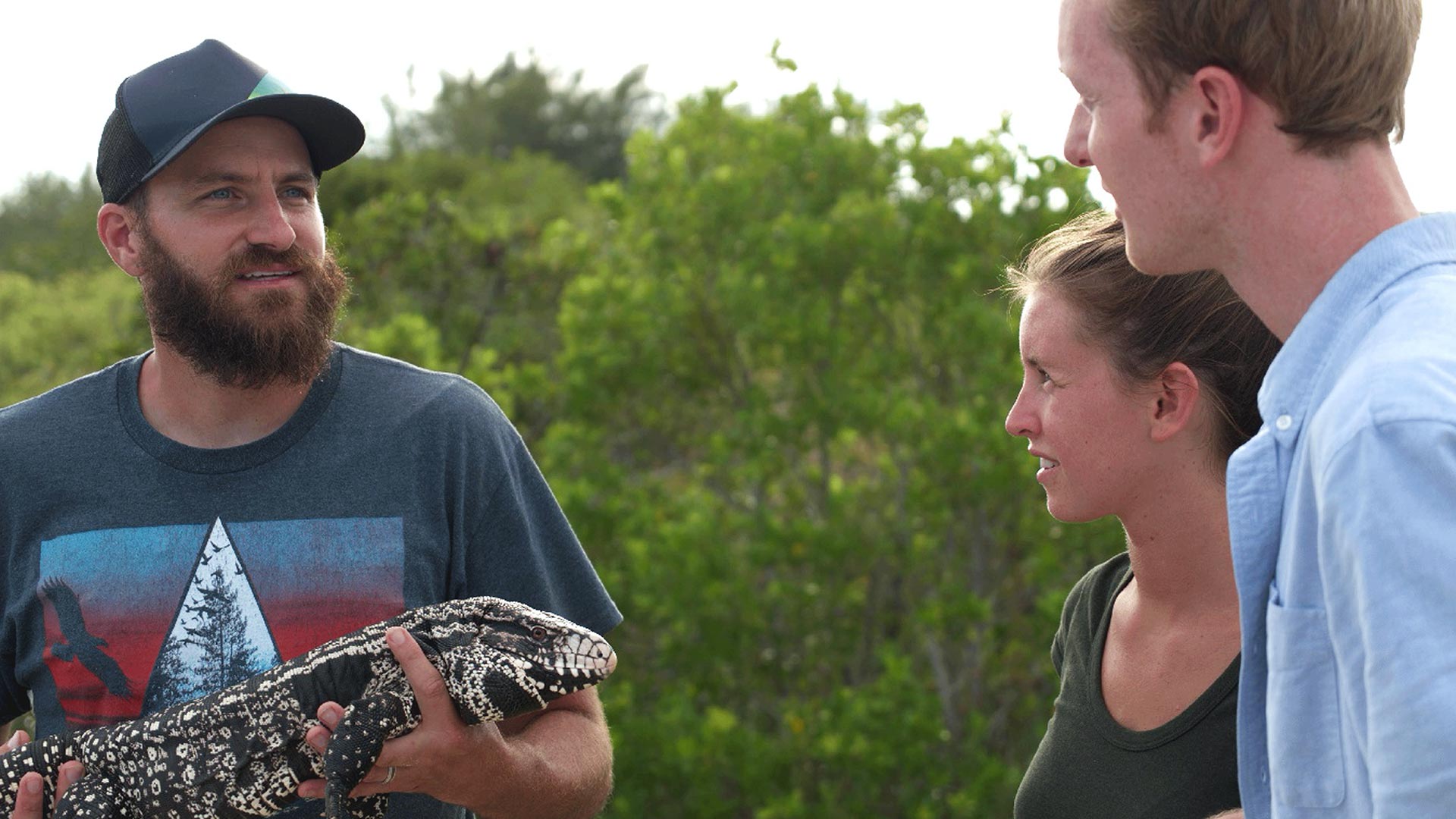 รับชม Animal Invaders ซีซัน 1 ตอน 10 – Animal Invaders บน Disney+ Hotstar