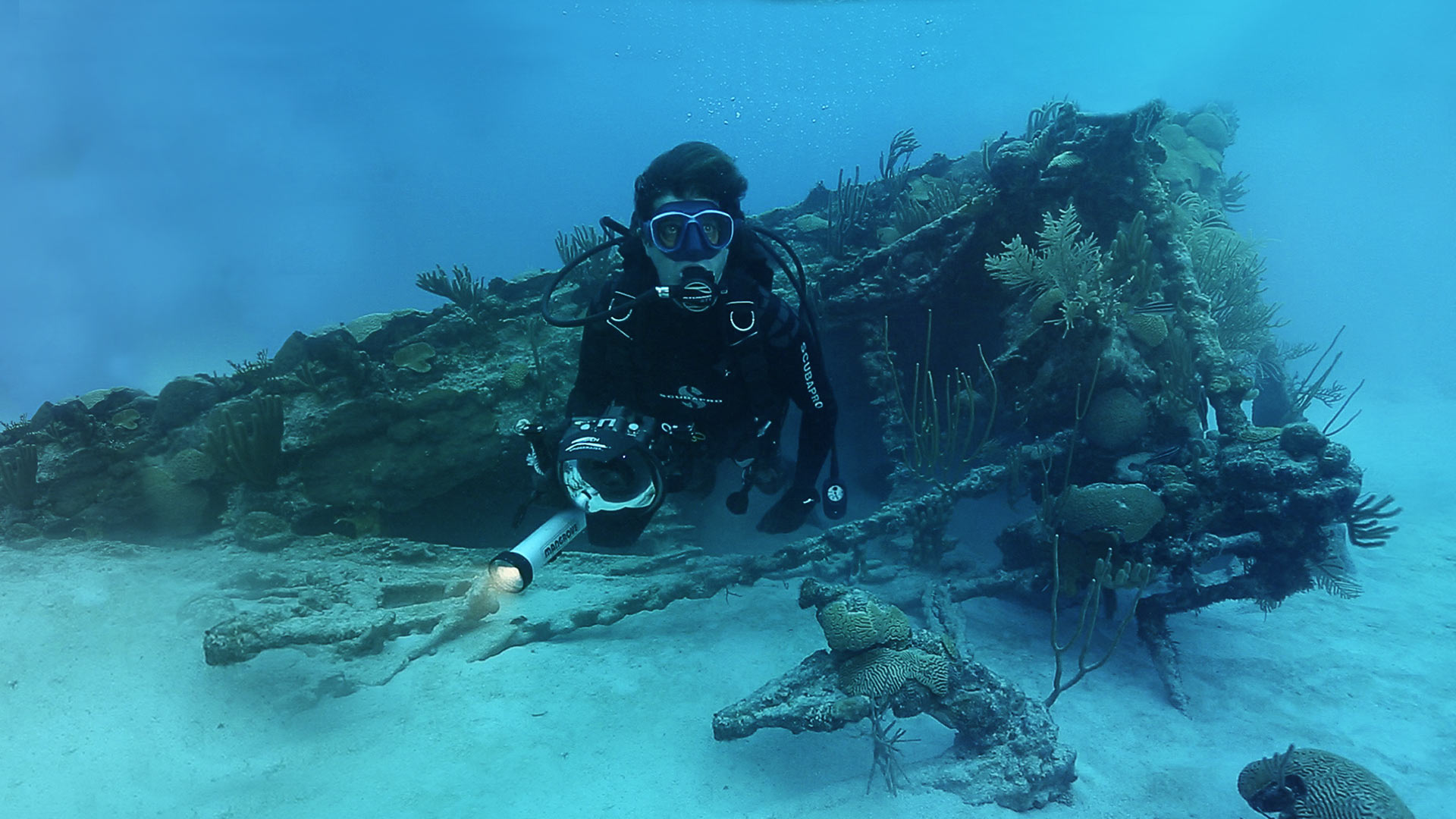 Drain The Bermuda Triangle - Disney+