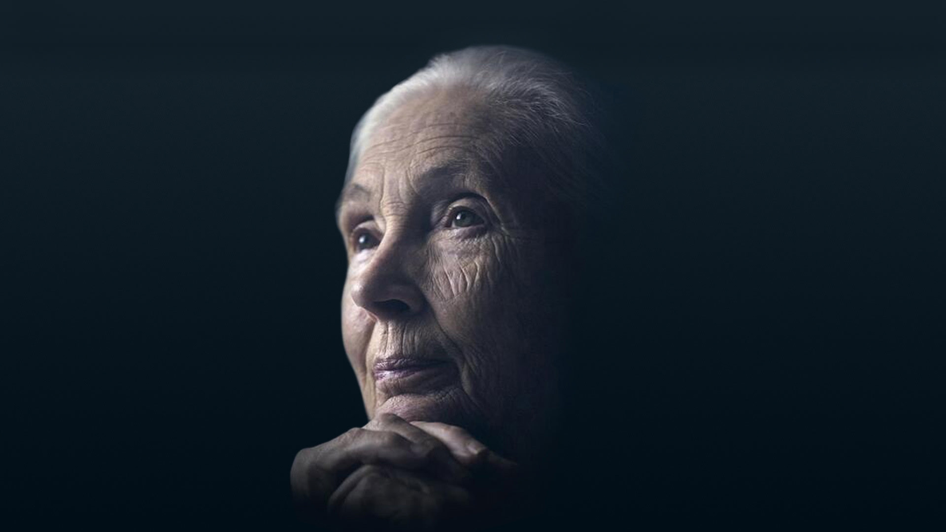 Jane Goodall: The Hope full movie. Documentary film di Disney+.