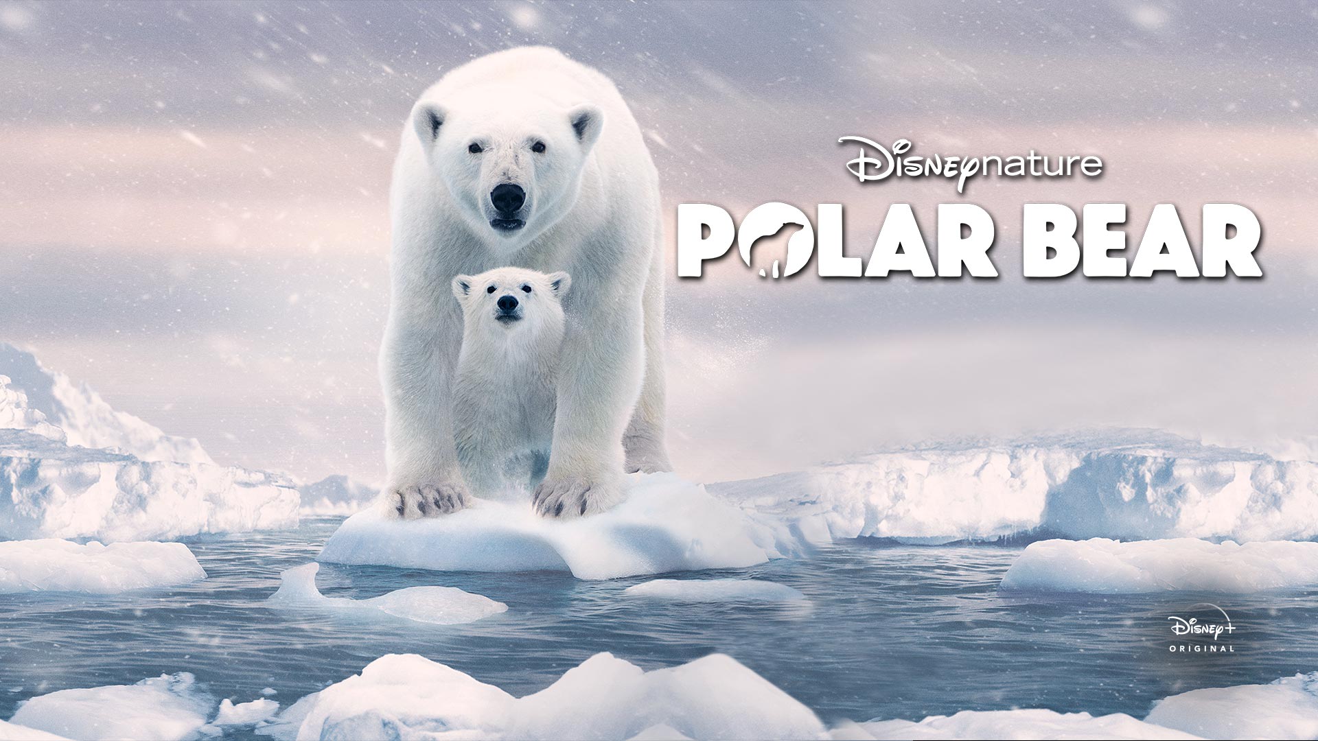 Watch Movie Polar Bear Online only on Watcho,