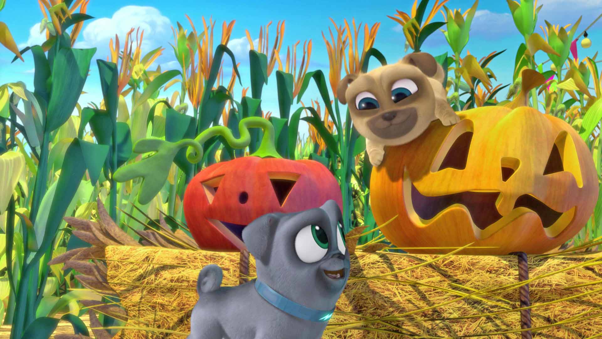 Nonton Return to the Pumpkin Patch / Haunted Howl-oween Season 1 ...