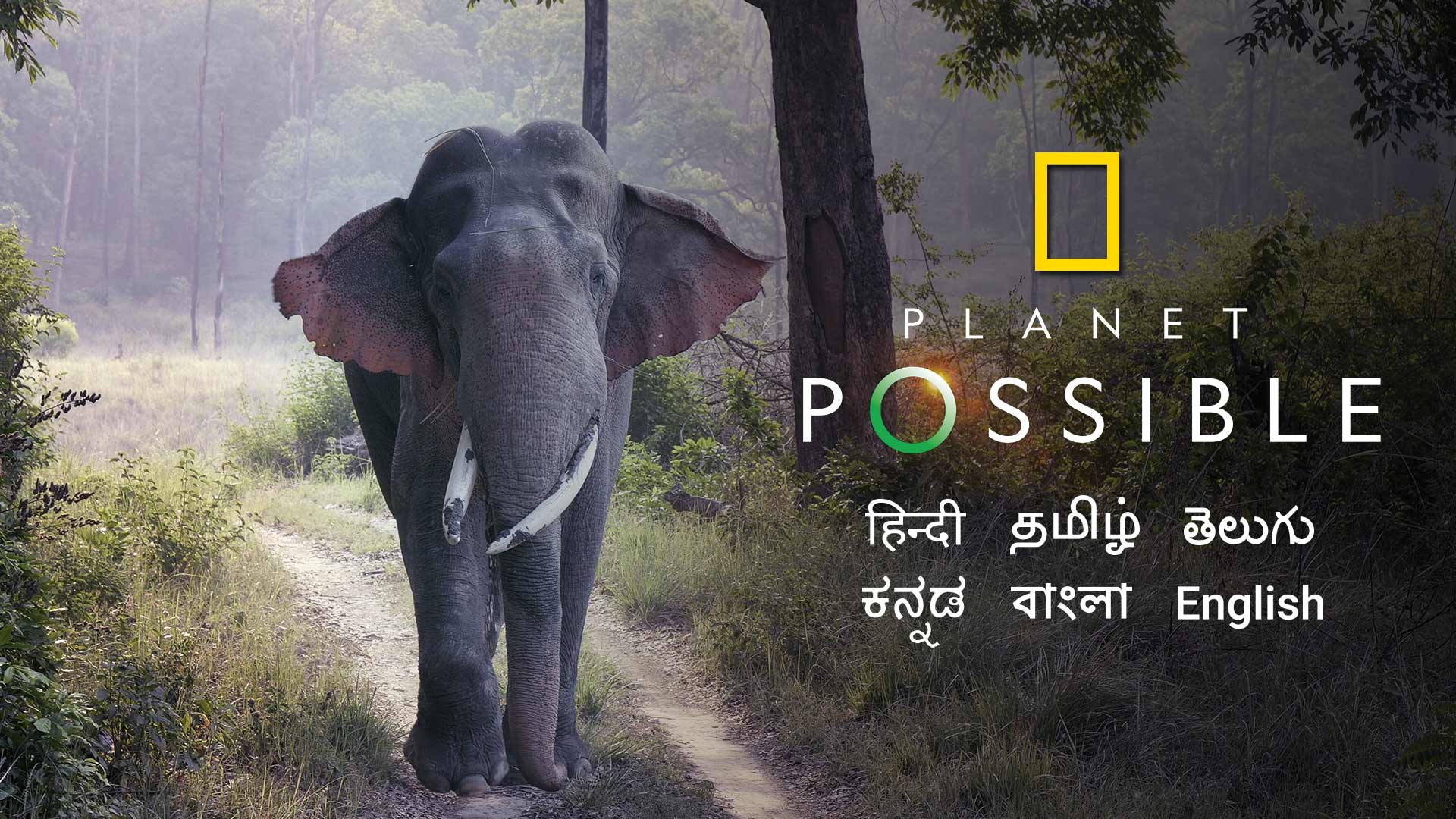 Stream planet-possible TV Show Online | Watcho