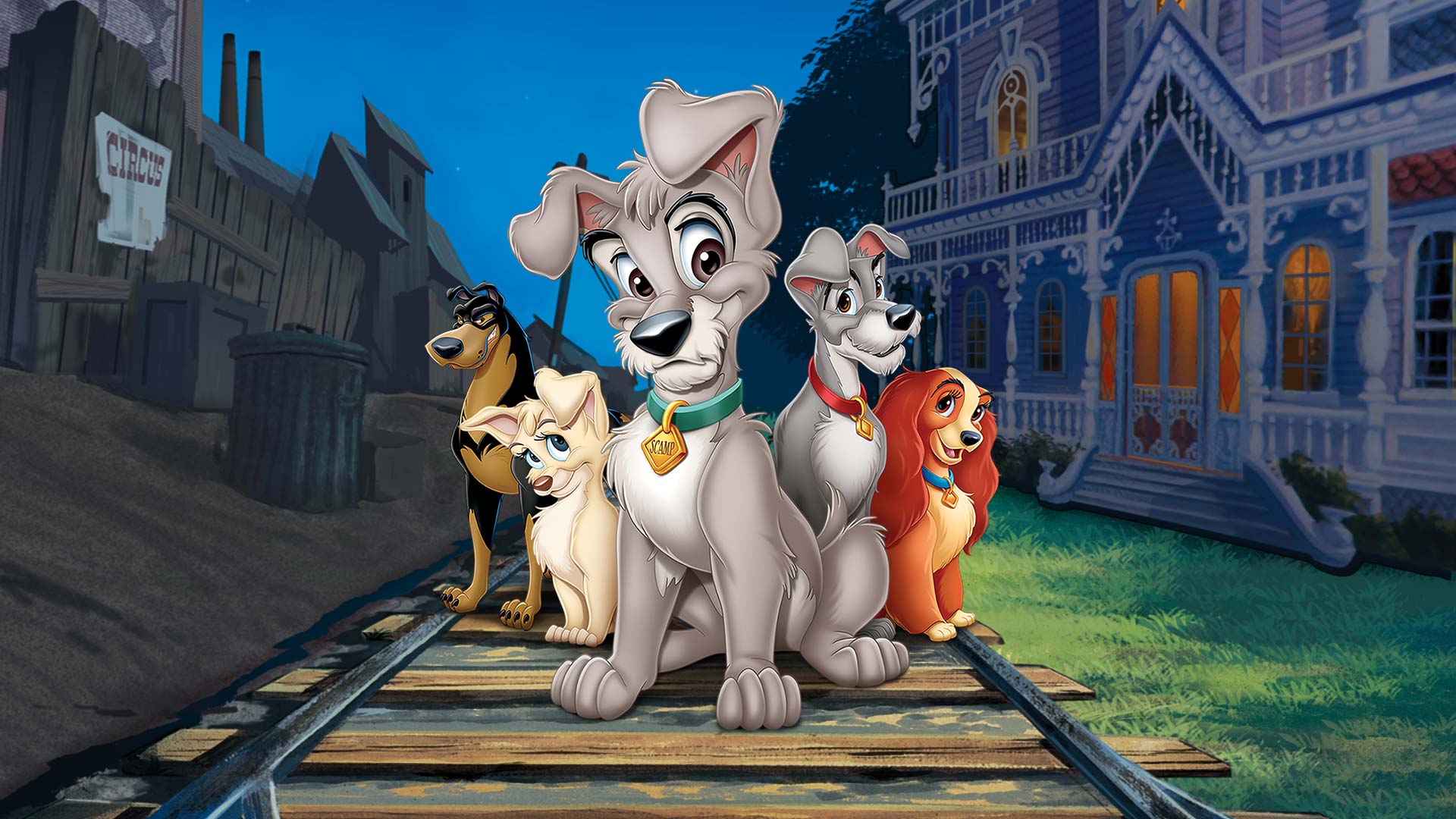Lady and the Tramp II: Scamp's Adventure on Disney+ South Africa ...