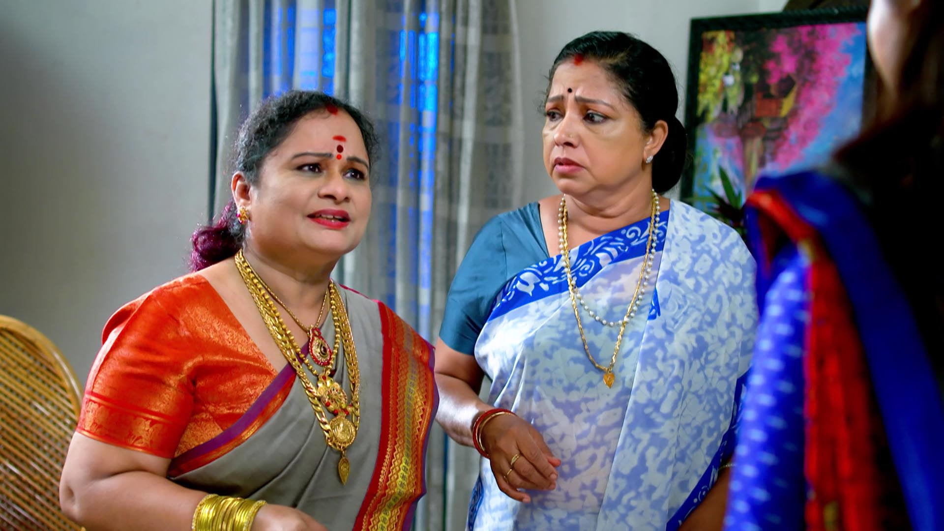 Watch Palunku S1 Episode 35 on JioHotstar