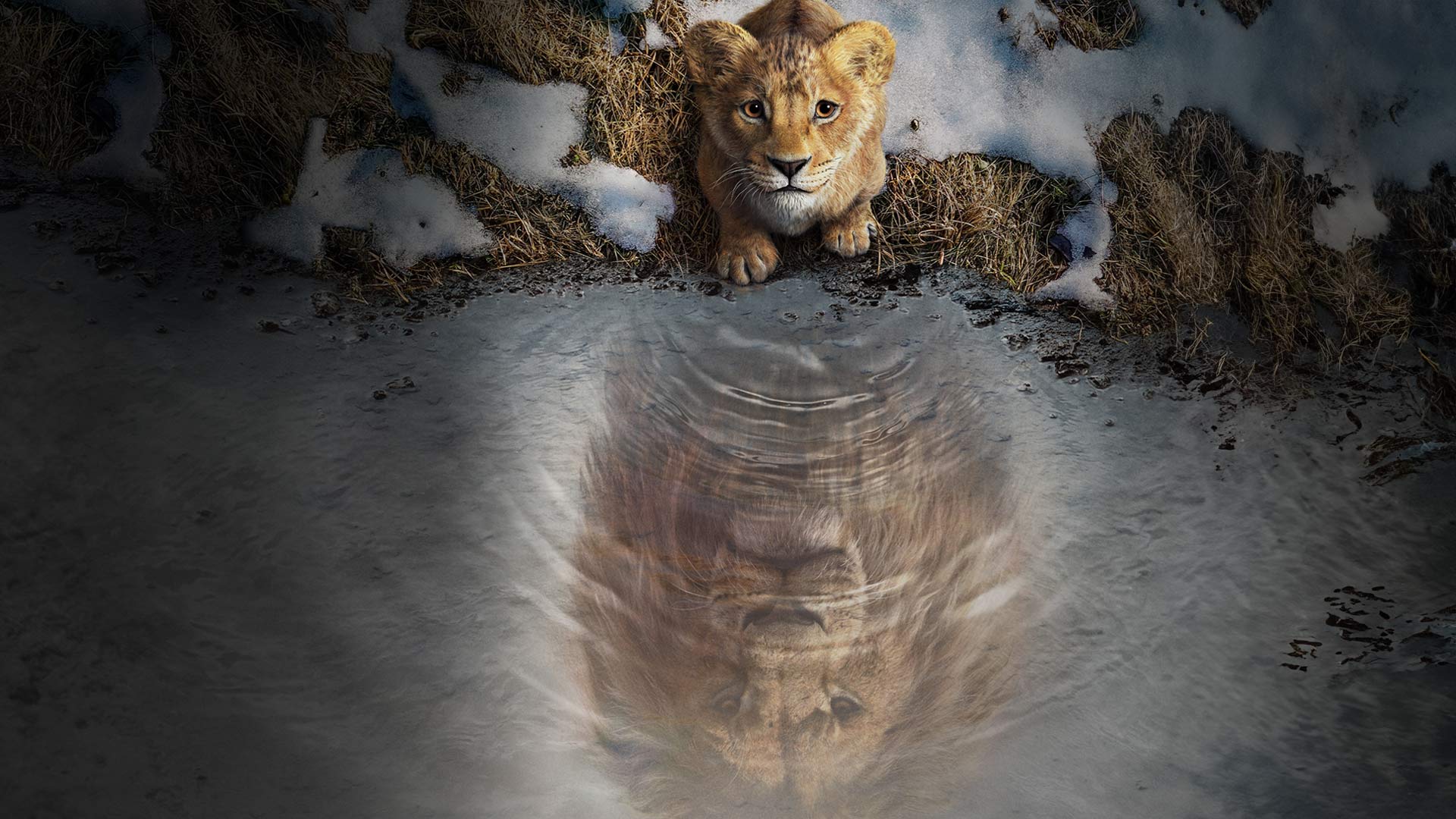 Mufasa: The Lion King - Disney+