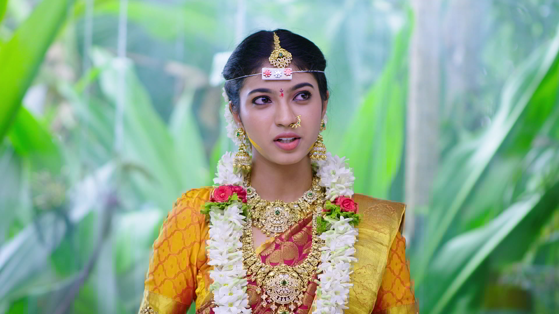 Watch Gowri Shankara S1 Episode 520 on JioHotstar