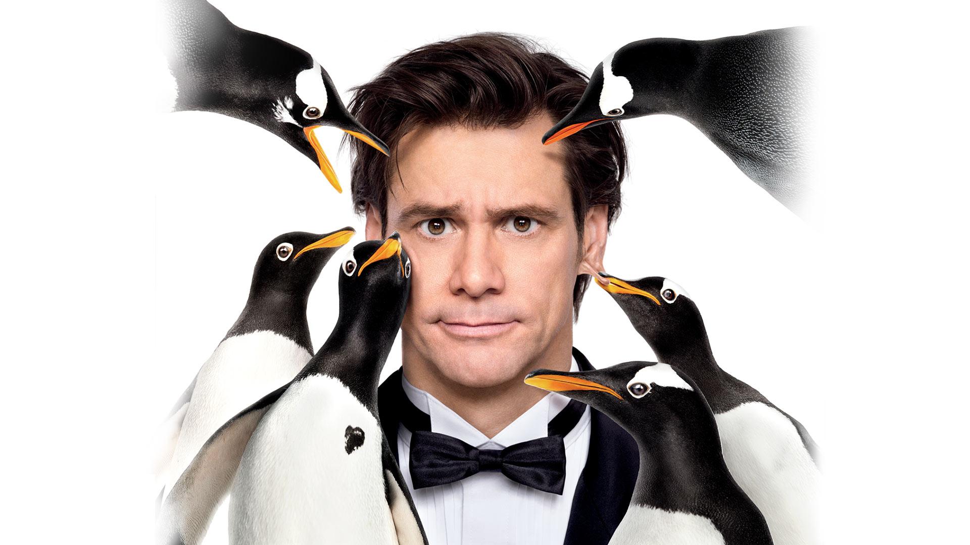 รับชมภาพยนตร์เรื่อง Mr. Popper's Penguins บน Disney+