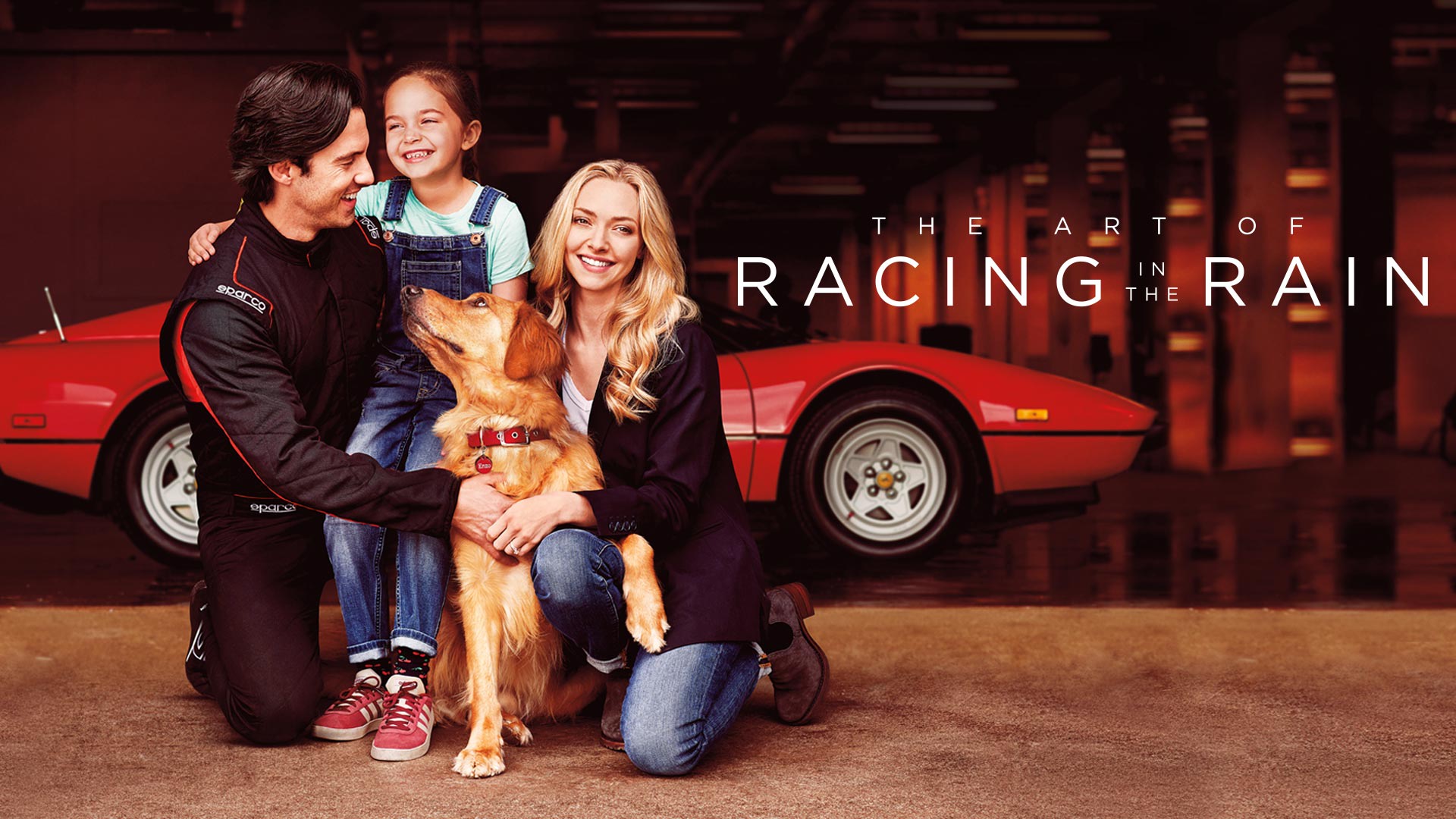 Watch Movie The Art of Racing in the Rain Online only on Watcho,