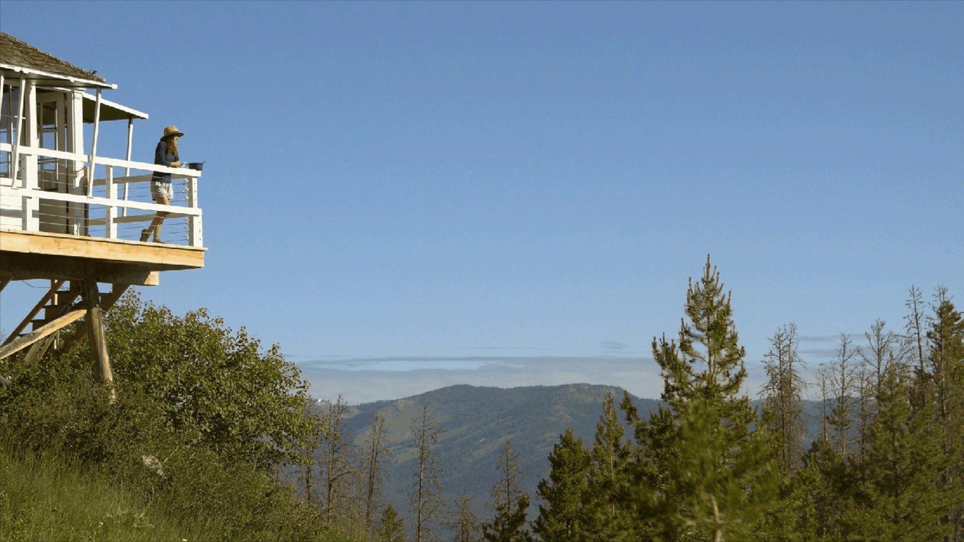 Nature Boom Time - Disney+