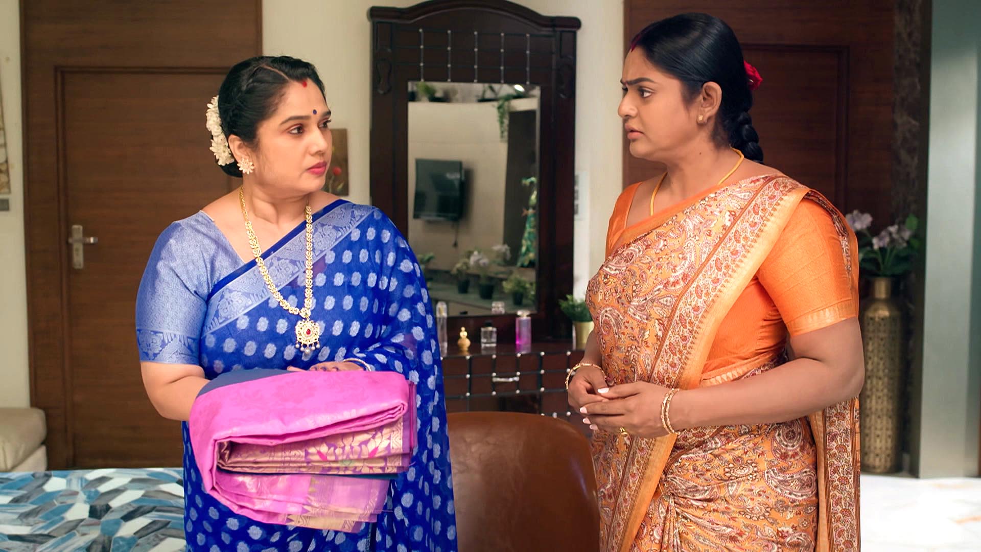 Watch Karthika Deepam - Idi Nava Vasantham Episode 408 on JioHotstar