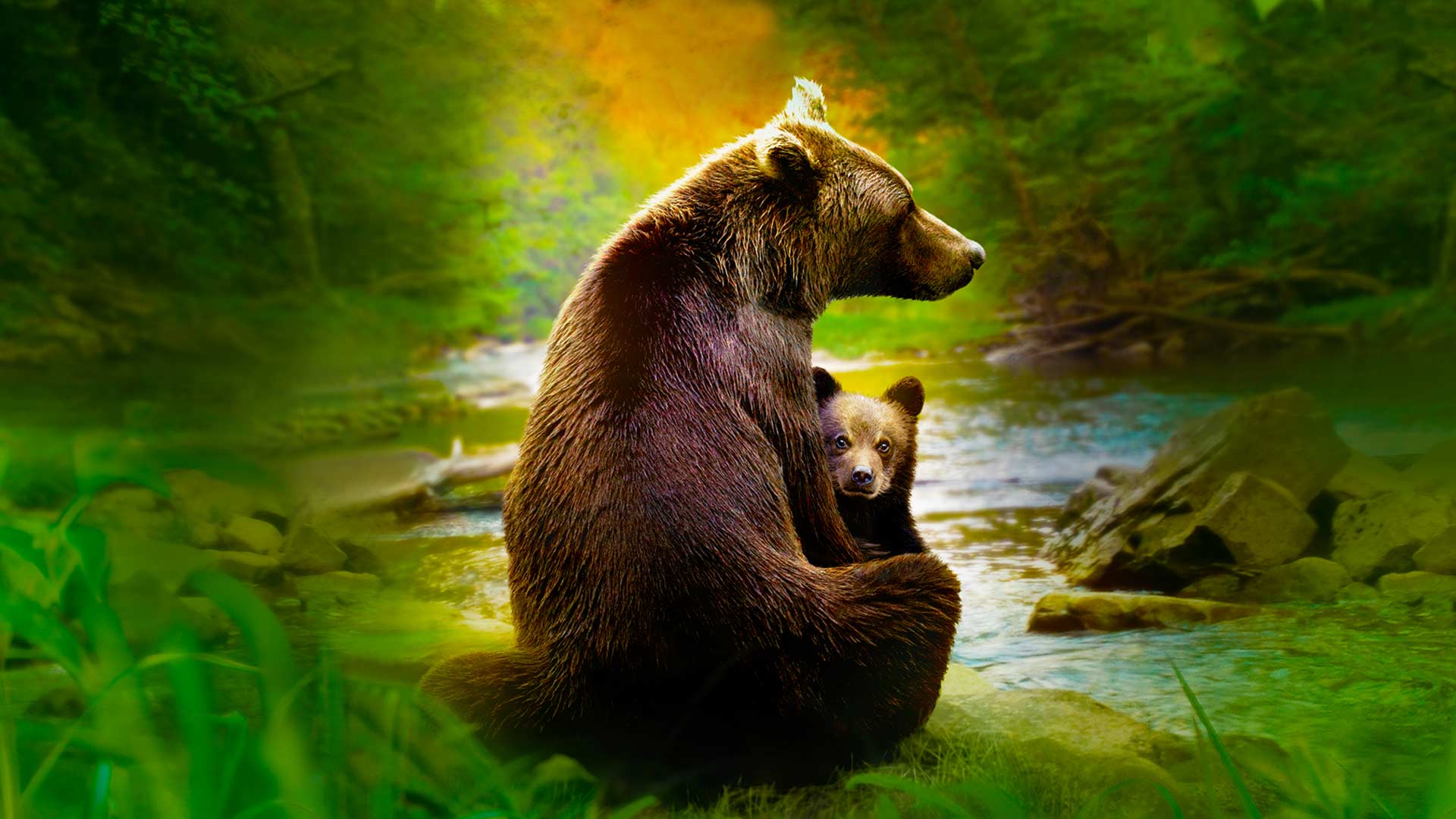 Growing Up Animal on Disney+ South Africa | English Series