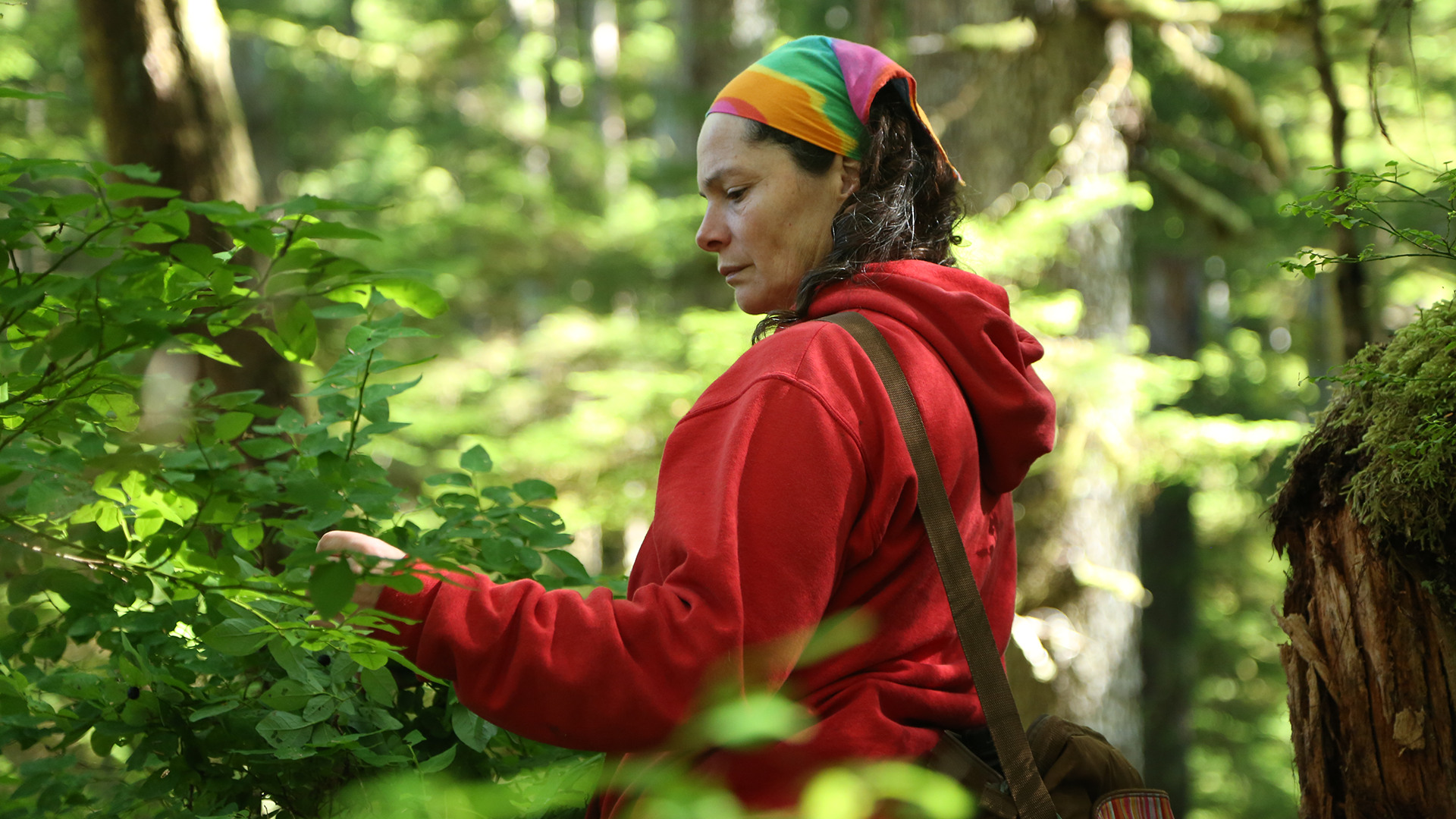 Watch Port Protection Alaska S8 Episode 7 on Disney+