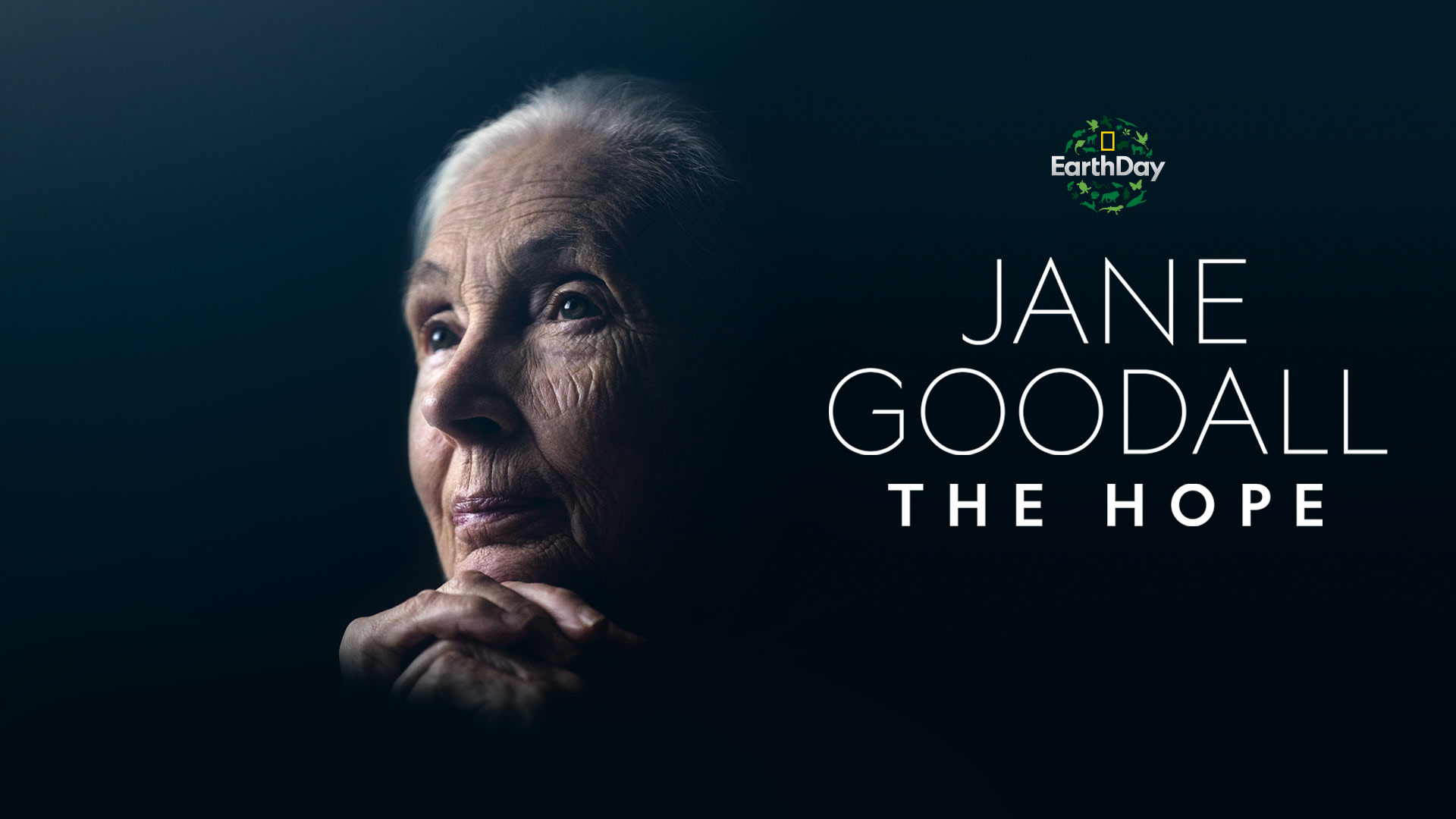 รับชมตัวอย่างจาก Jane Goodall: The Hope - Trailer บน Disney+ Hotstar