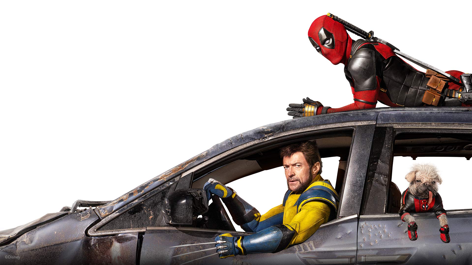 Deadpool & Wolverine: A Special Look on Disney+ Algeria | English Super ...