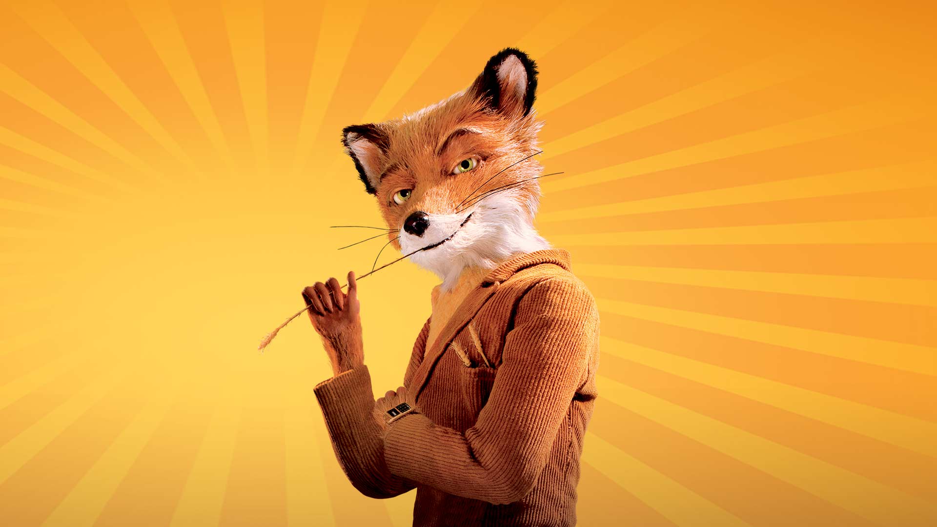 Fantastic Mr. Fox - Disney+