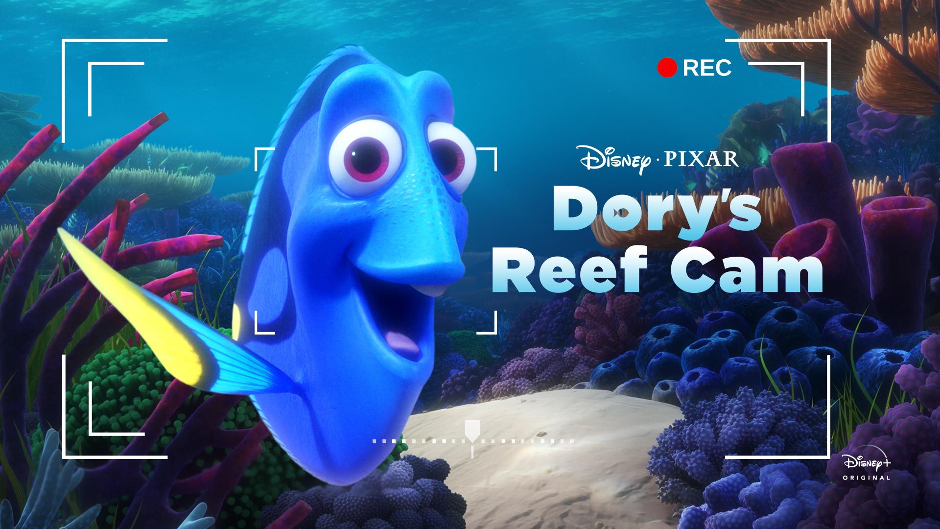 Watch Movie Dory's Reef Cam Only on Watcho