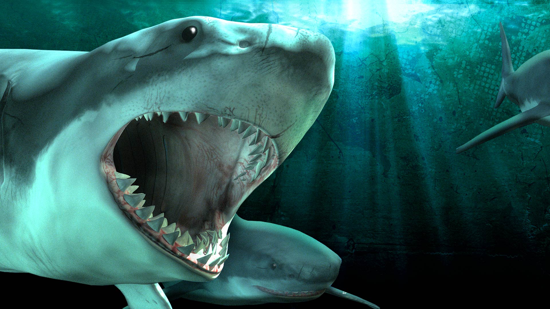 Shark Queens - Disney+