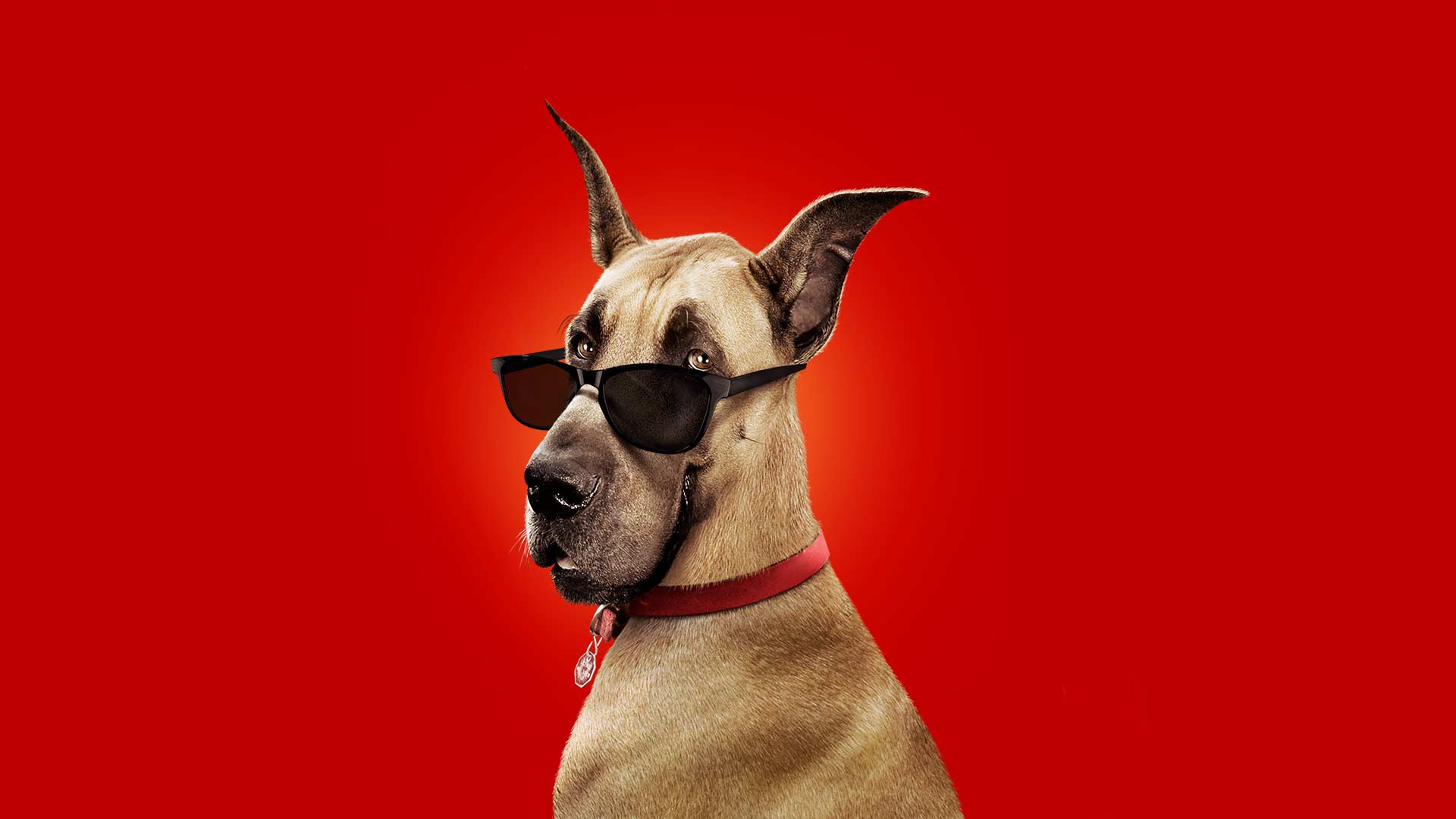 Marmaduke - Disney+