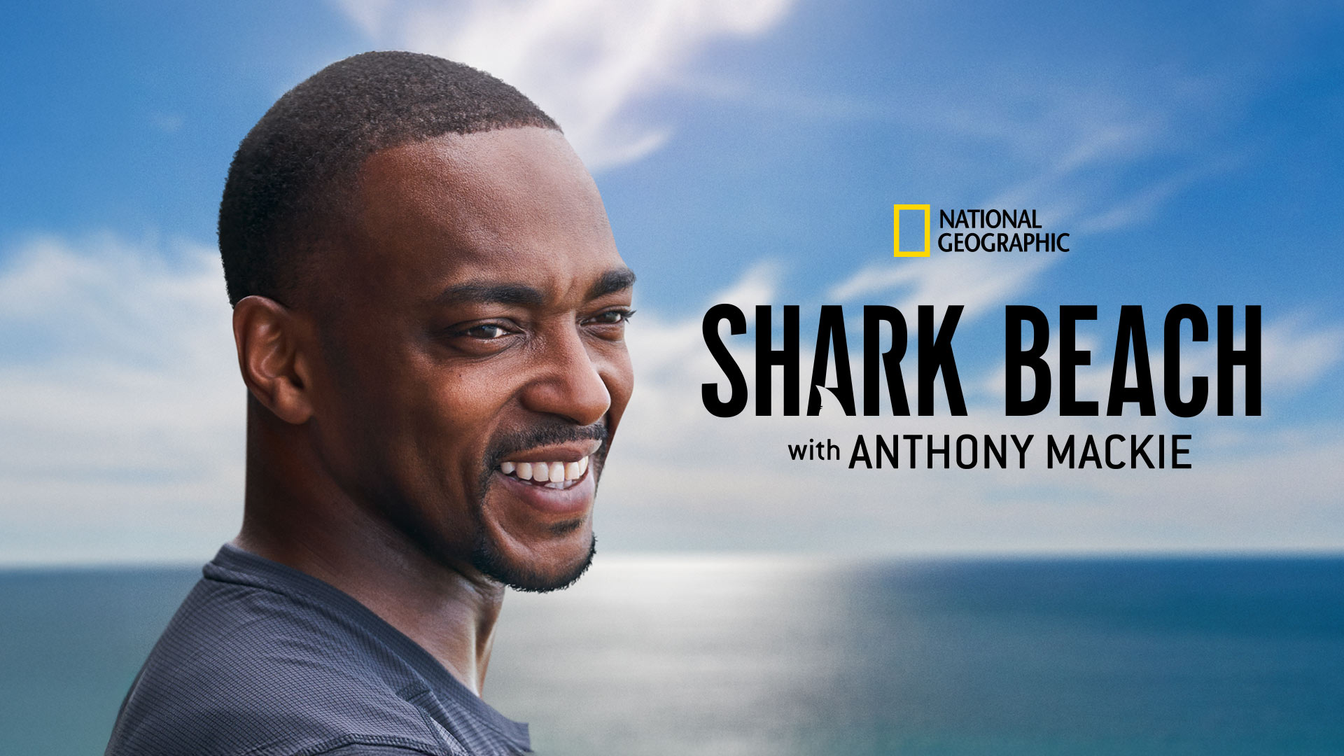 Watch Movie Shark Beach with Anthony Mackie: Gulf Coast Online only on ...