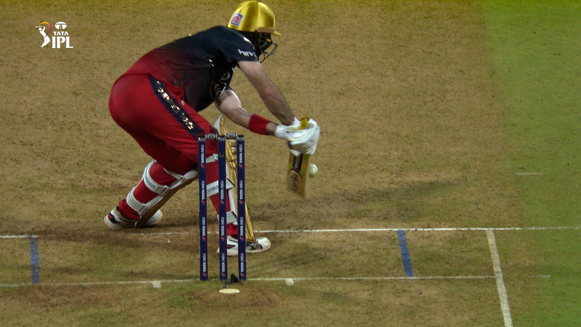Faf & Maxwell Play Bold