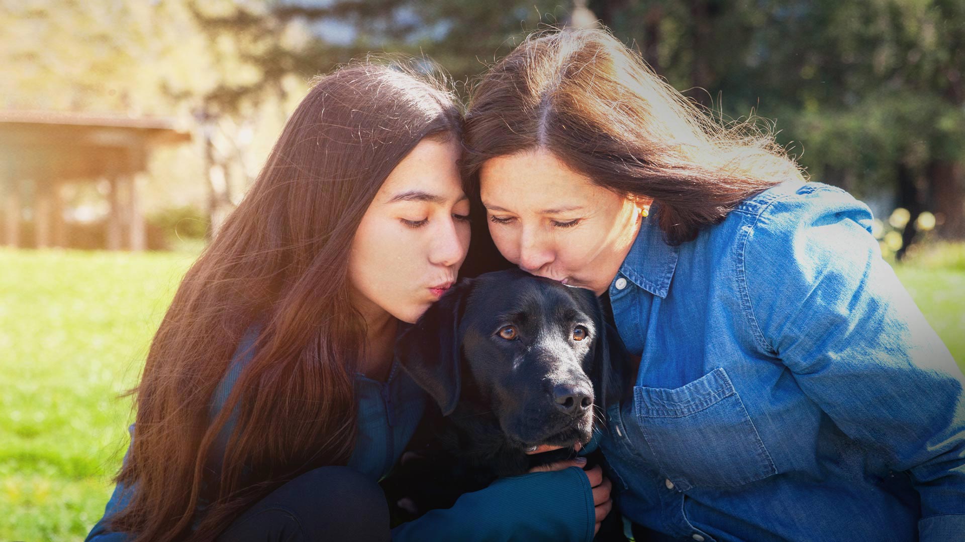 Pick of the Litter - Disney+