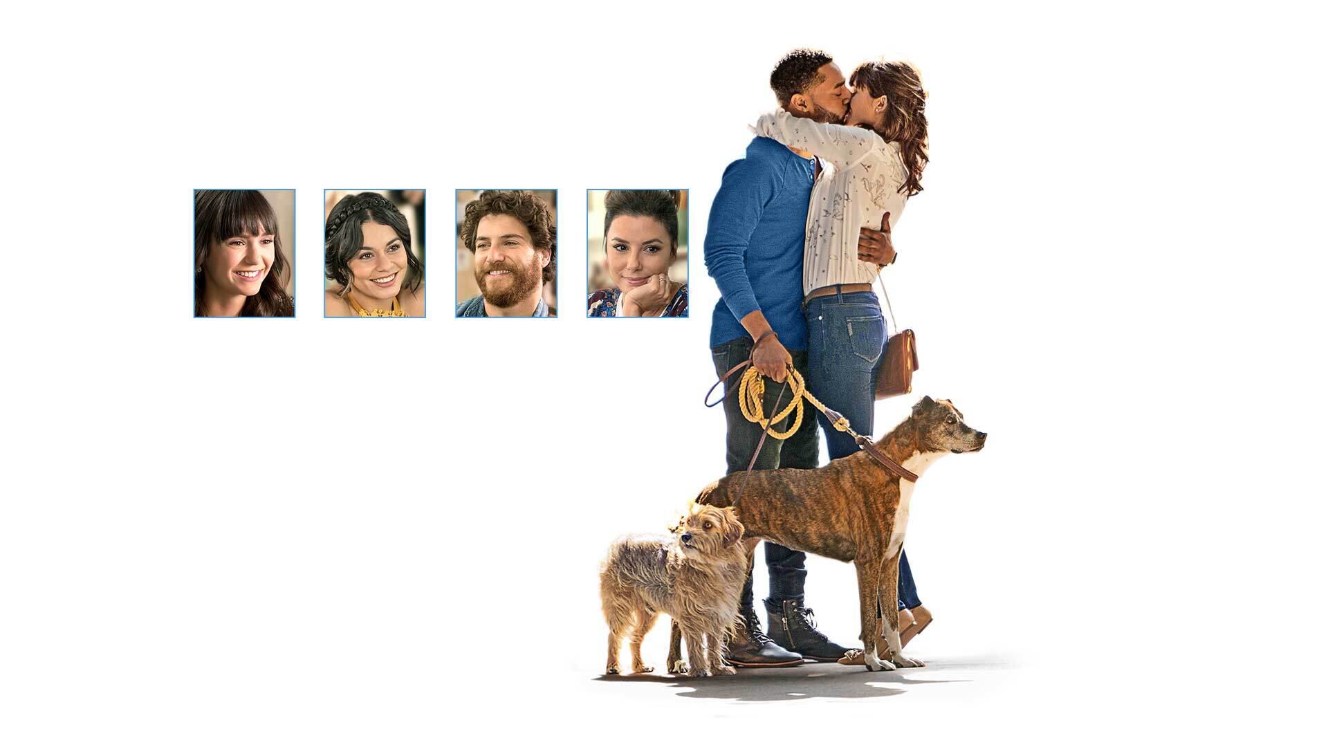 Dog Days - Disney+