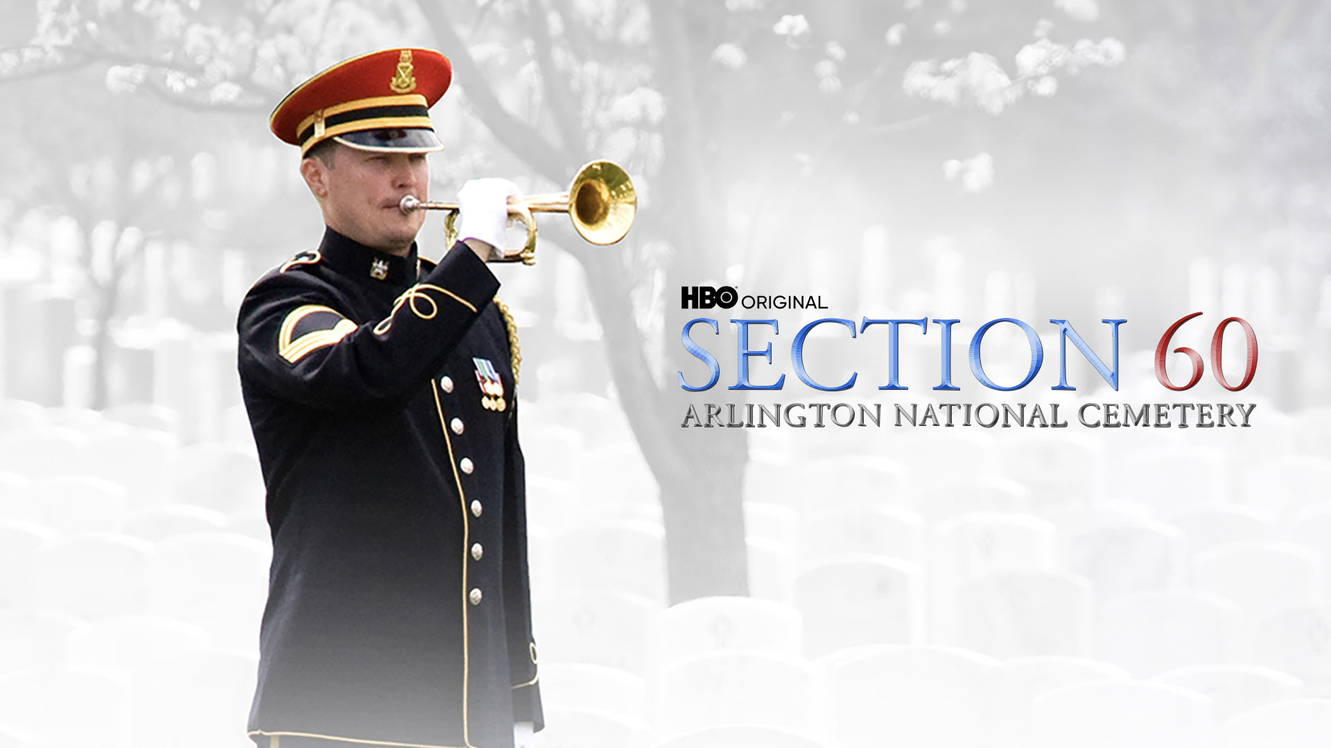 Watch Movie Section 60: Arlington National Cemetery Online only on Watcho,