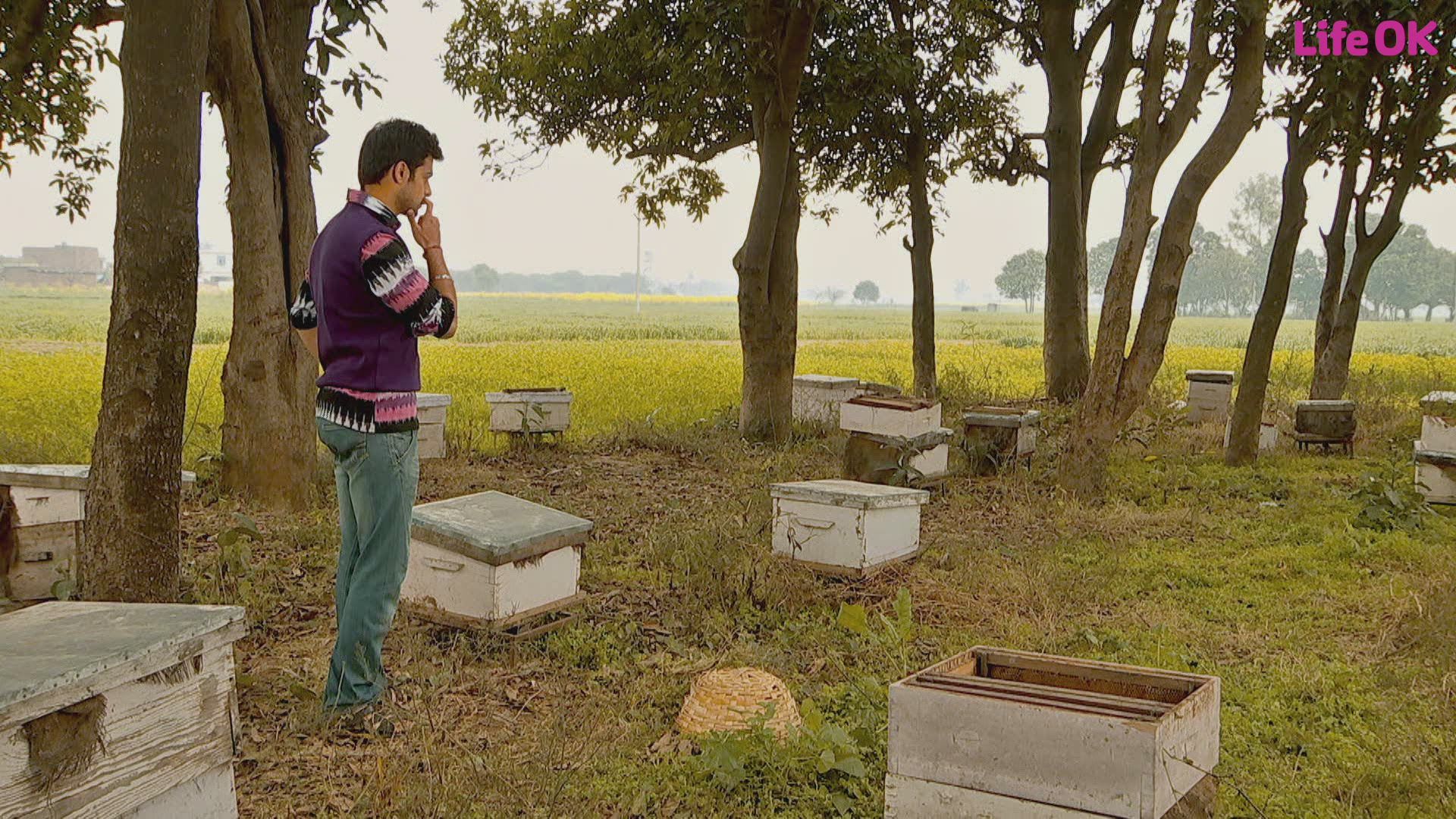 Meher challenges Sameer - JioHotstar