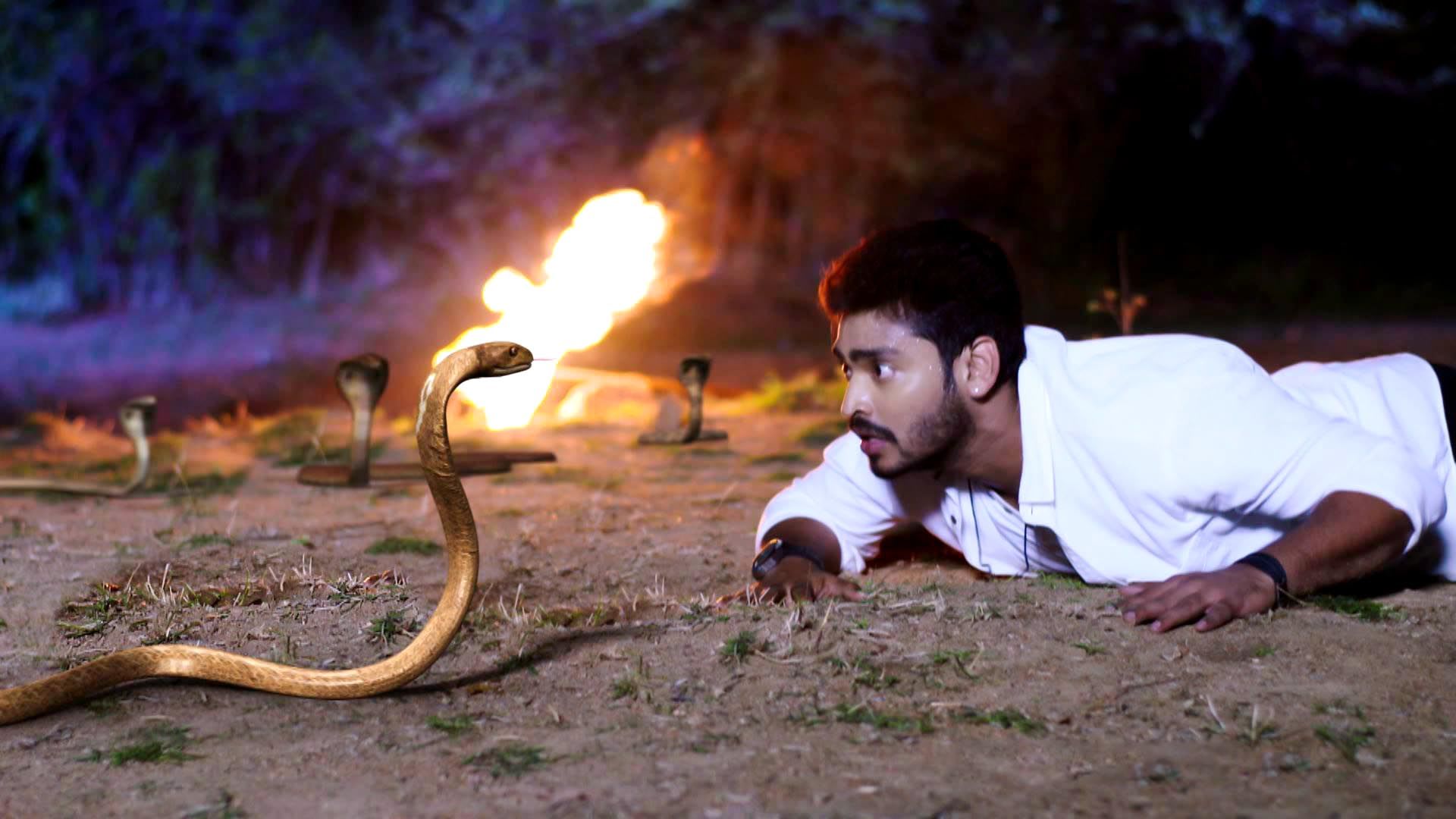 Watch Sundarakanda S1 Episode 3 on Disney+ Hotstar