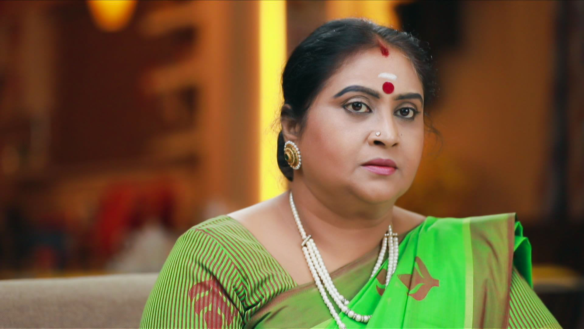 Watch Raja Rani 2 S1 Episode 115 on JioHotstar