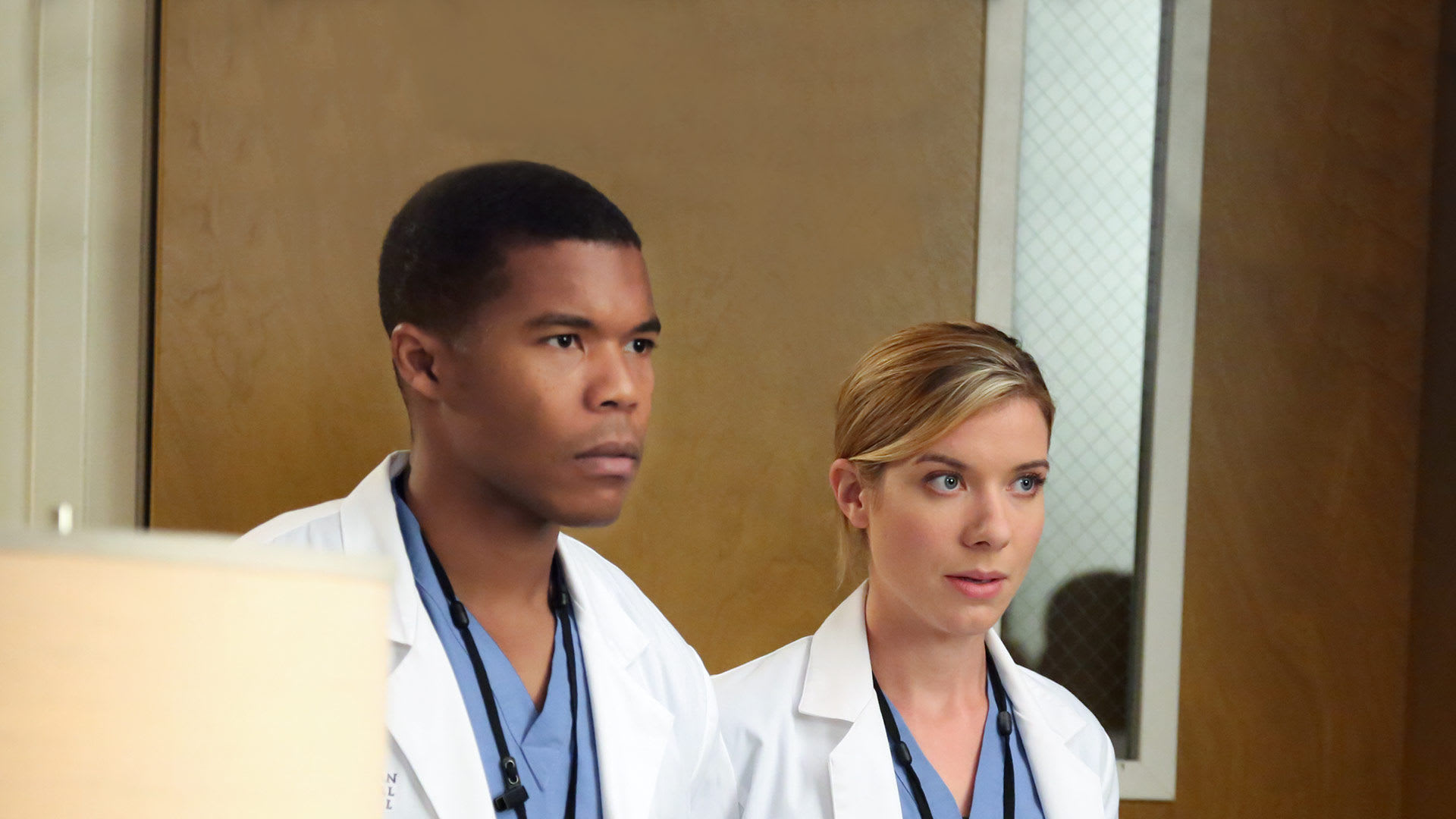 Stream I Bet it Stung Season 10 Episode 5 – I Bet it Stung on Disney+