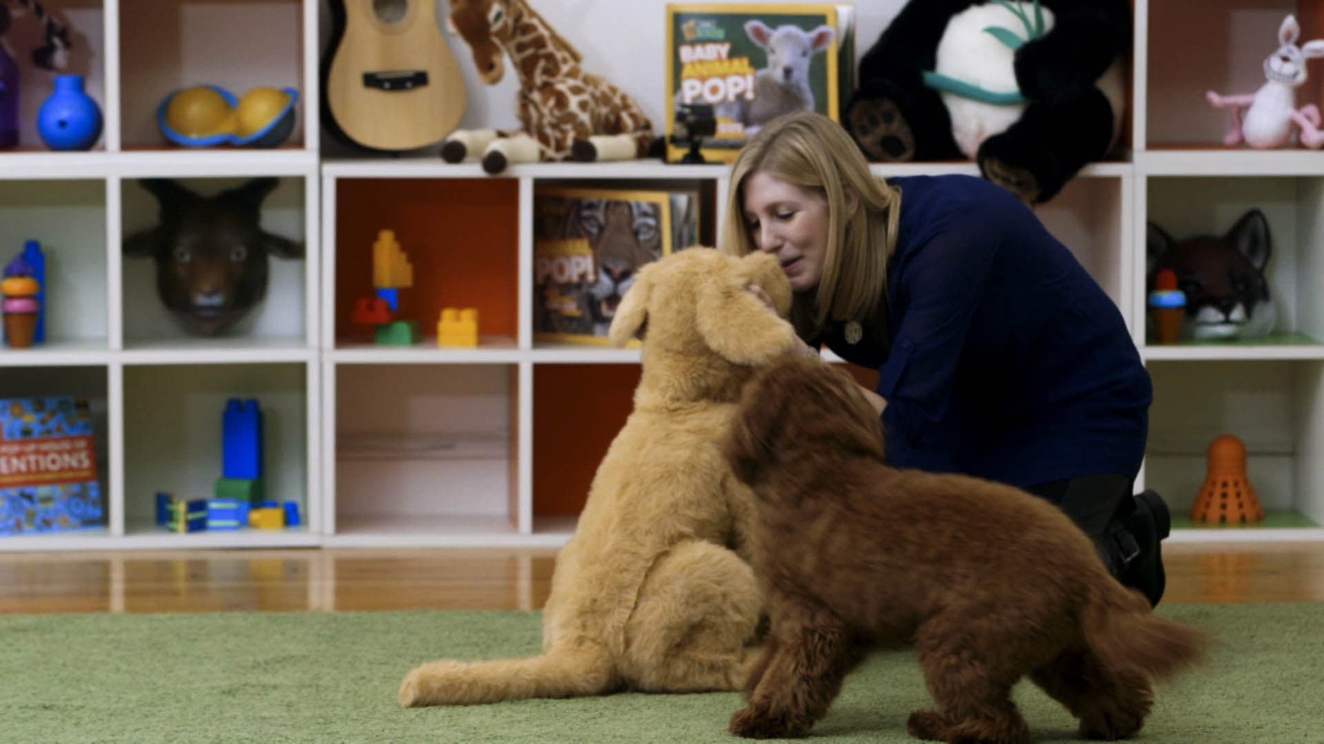 Watch Animal vs. Human Online